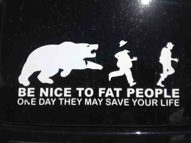 Funny Truck Saying Stickers And Funny Quotes Page 42 Ford funny-truck-saying-stickers-and-funny-quotes-page-42-ford